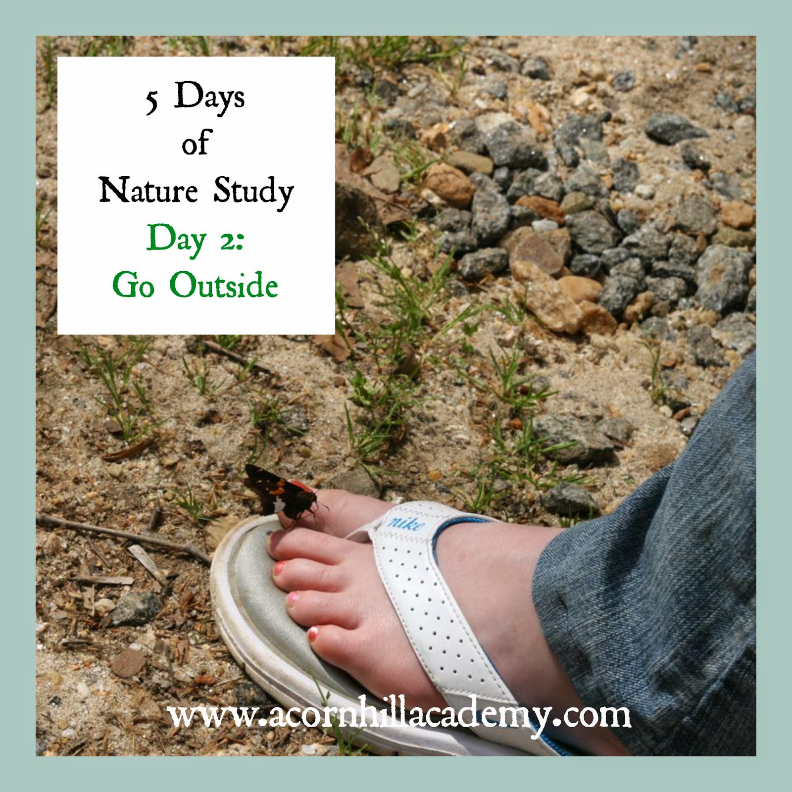 Acorn Hill Academy: Let's Go Outside!