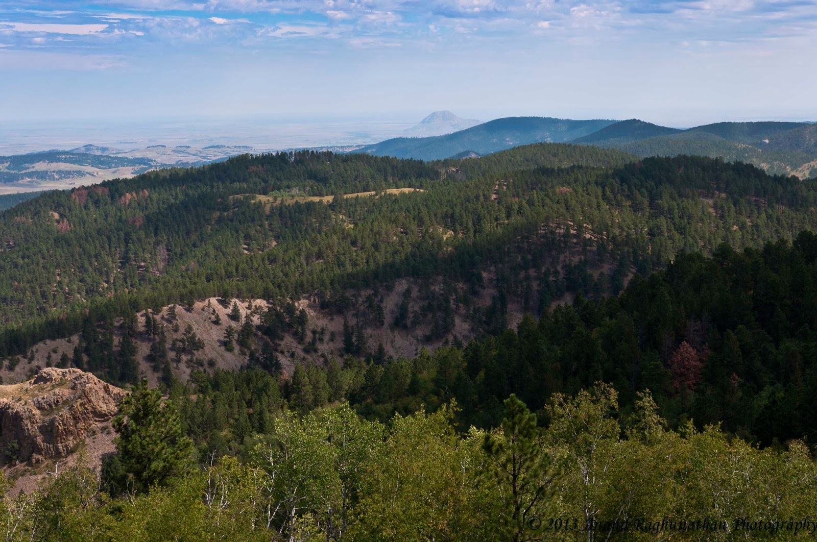 What Can Brown Do For You: Mt Roosevelt