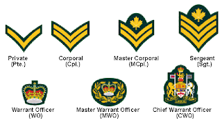 RCACC 117 Preston/Westphal: RCACC AND CDN ARMED FORCES OFFICER RANKS