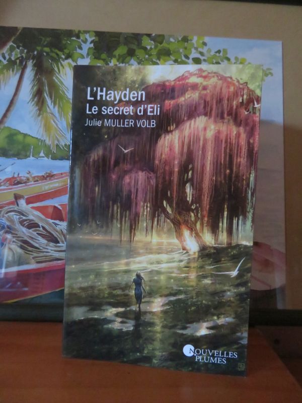 Les lectures de Mylène: L'Hayden, tome 1 : Le secret d'Eli de Julie ...