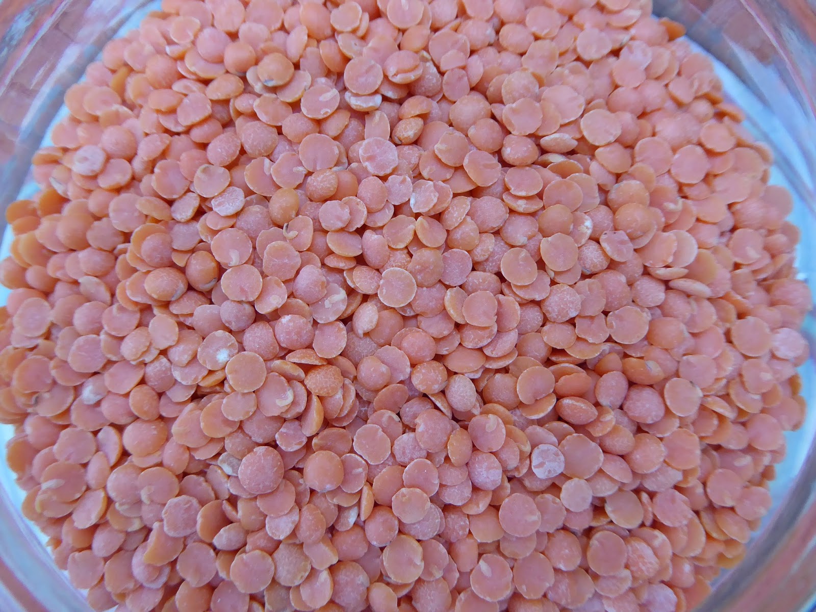 Susan Can Cook: Random Food Fridays - Red Lentil Coconut Dahl and ...