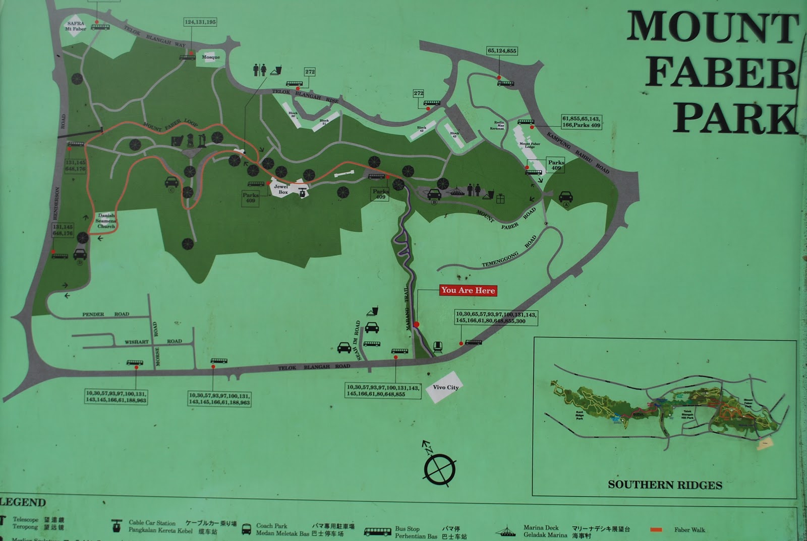 BookWorm Travel: Southern Ridges Park: Marang Trail