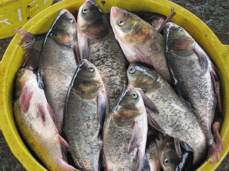 tungo sa kawalan: eve of the storm