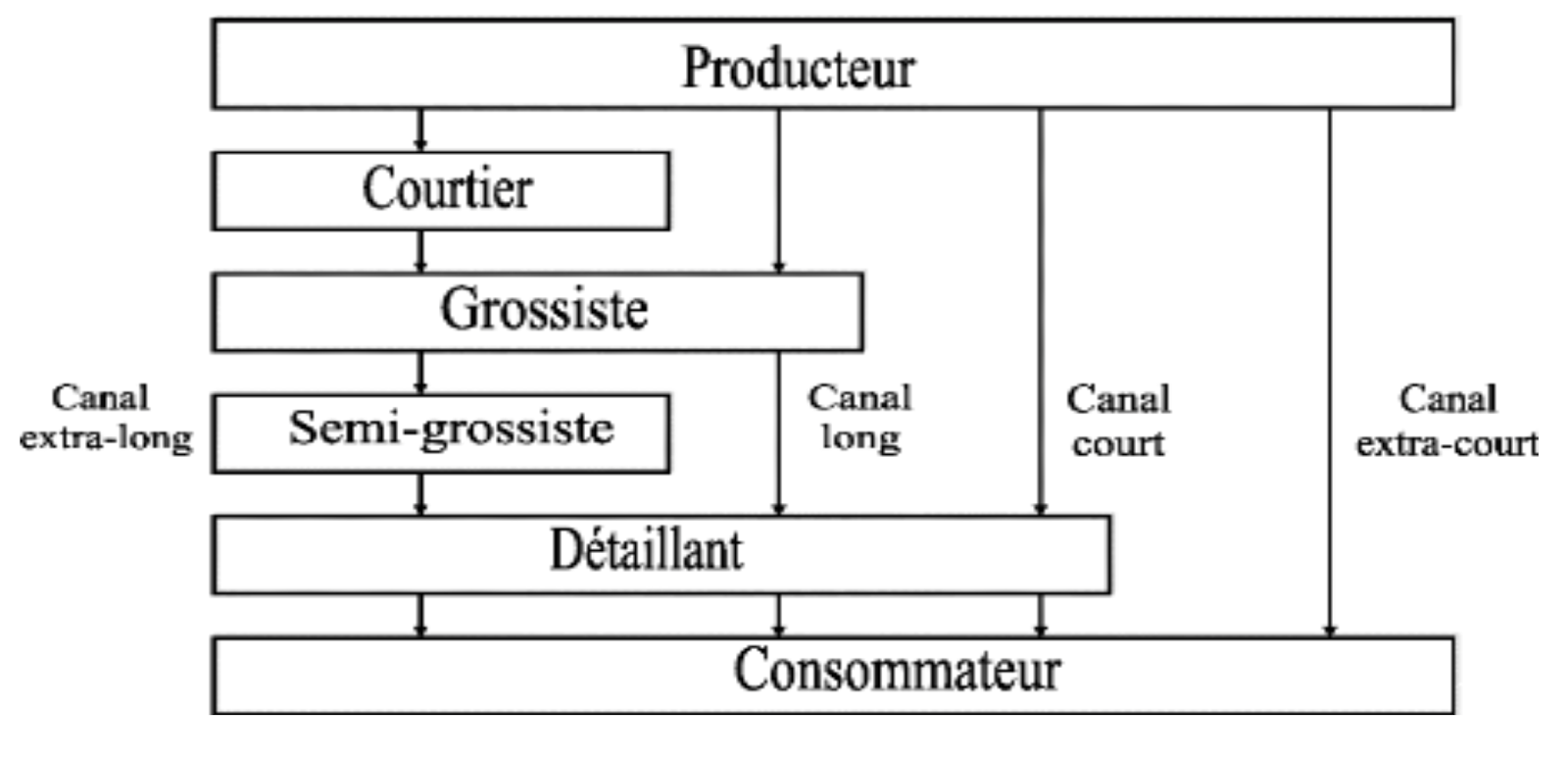 Chapitre 15 : Les Réseaux d’Unité Commerciales
