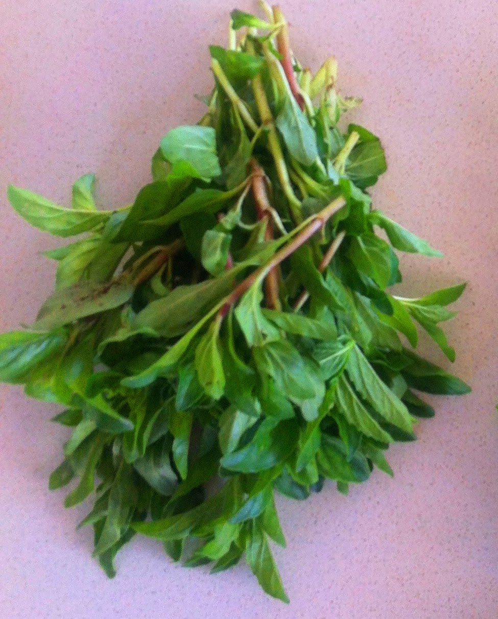 in my world: Dourada com poejo