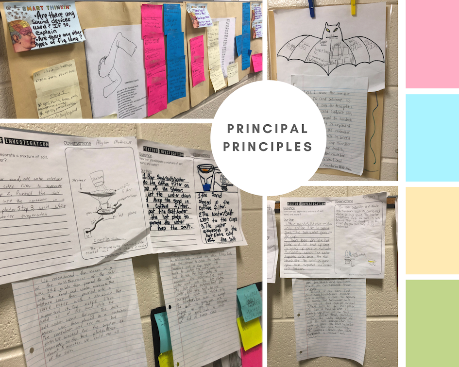 Creating a Culture of Professional Learning - Stephanie McConnell ...