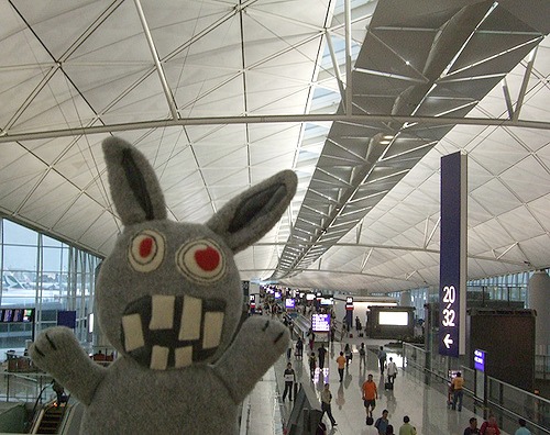 DAVID DUST: The Fugitive Bunnies Of JFK Airport