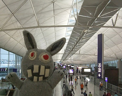 DAVID DUST: The Fugitive Bunnies Of JFK Airport