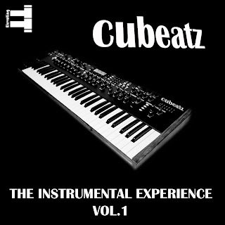 Elevating music: Cubeatz 'The Instrumental Experience'