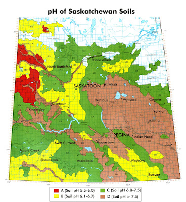 The Science of Dirt: How parent material influences soil pH