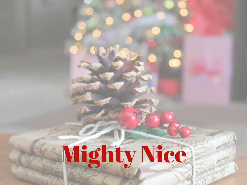 The Bees’ RV: Mighty Nice