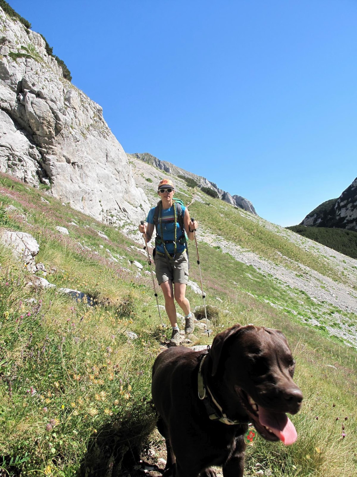Luna chocolate lab sweeter than a chocolate: Alpski bivak & Debeli ...