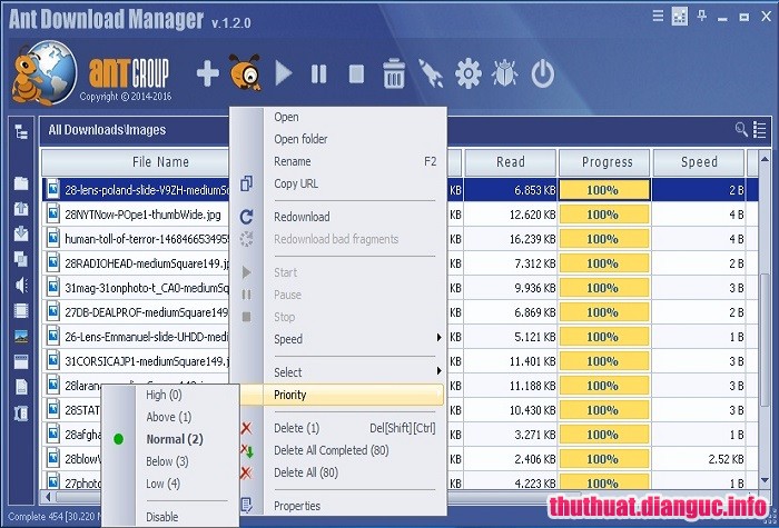 Download Ant Download Manager Pro 1.11.0 Full Cr@ck