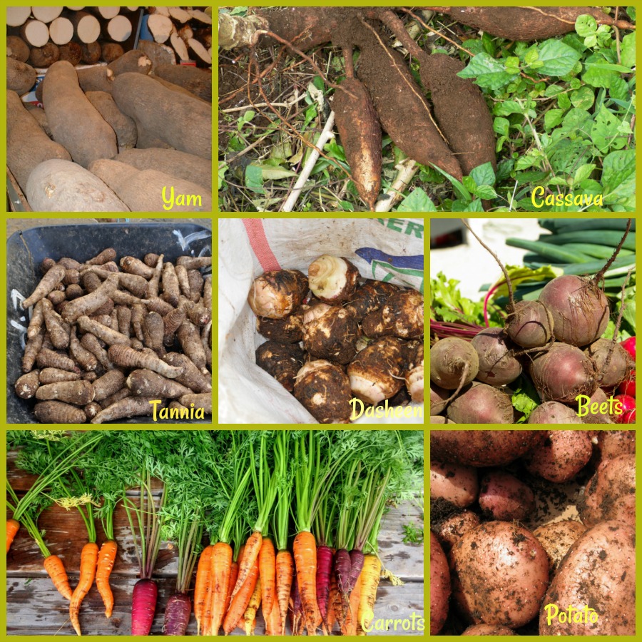 Embrace Your Roots! - Jamber Press