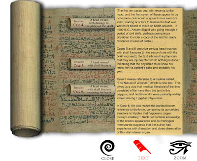 STEM Education: The Edwin Smith Papyrus