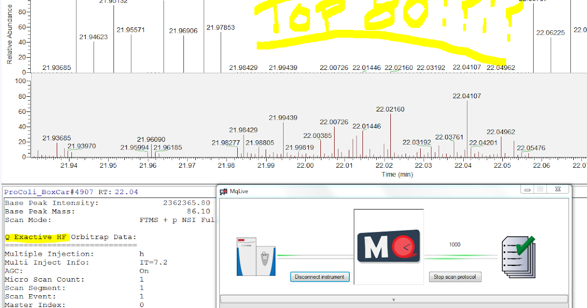 News in Proteomics Research: MaxQuant.LIVE (Software) Hands on ...