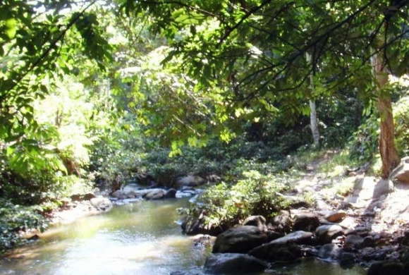 Wisata Alam Telaga Permai Batu Besaung Di Samarinda - Yoshiewafa