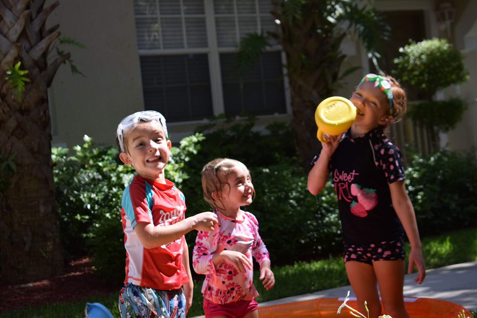 Haws Household: Kiddie Pool + Potty Training