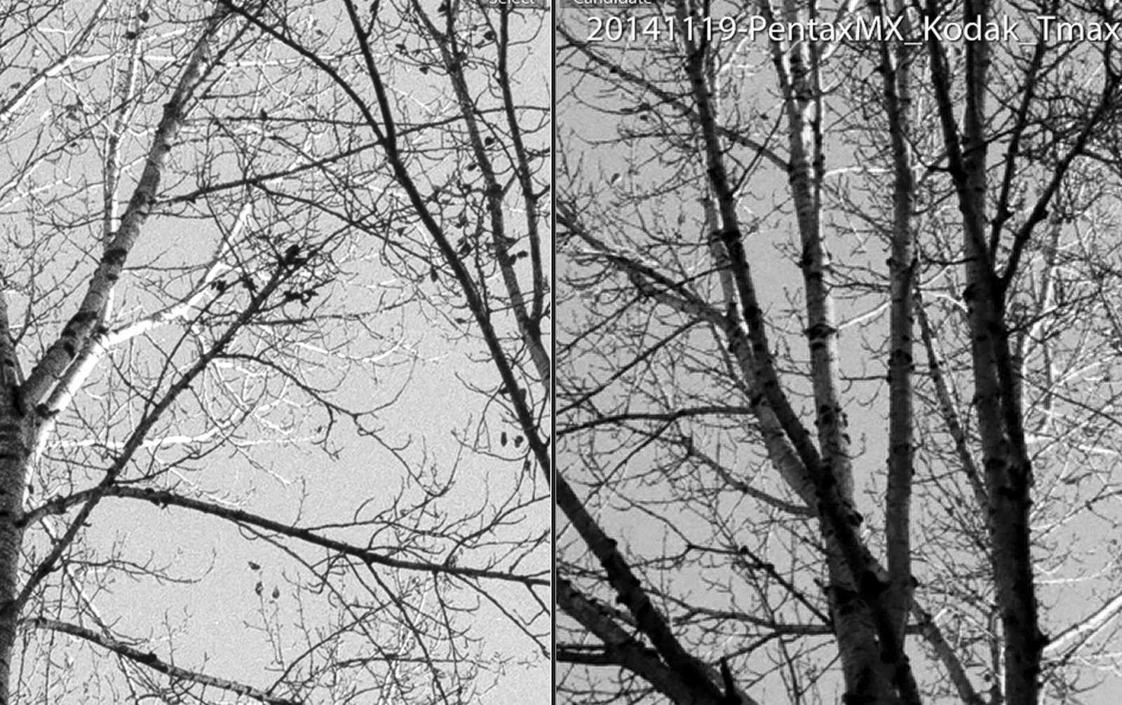 Matt's Photography Tips: Scanning Film With A Digital Camera