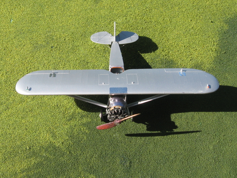 Wings of Intent: Scratchbuilt Ryan M-1 completed