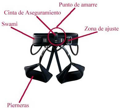 FACTORES HUMANOS: las partes del arne