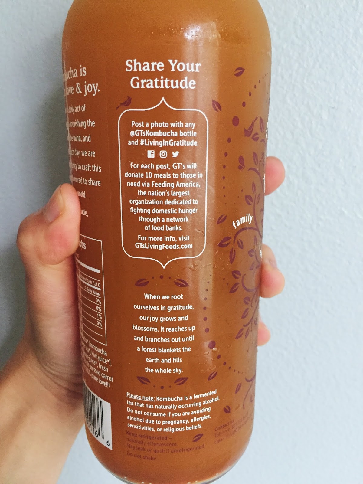 GTS Kombucha Living in Gratitude Fall Edition with Apple, Turmeric ...