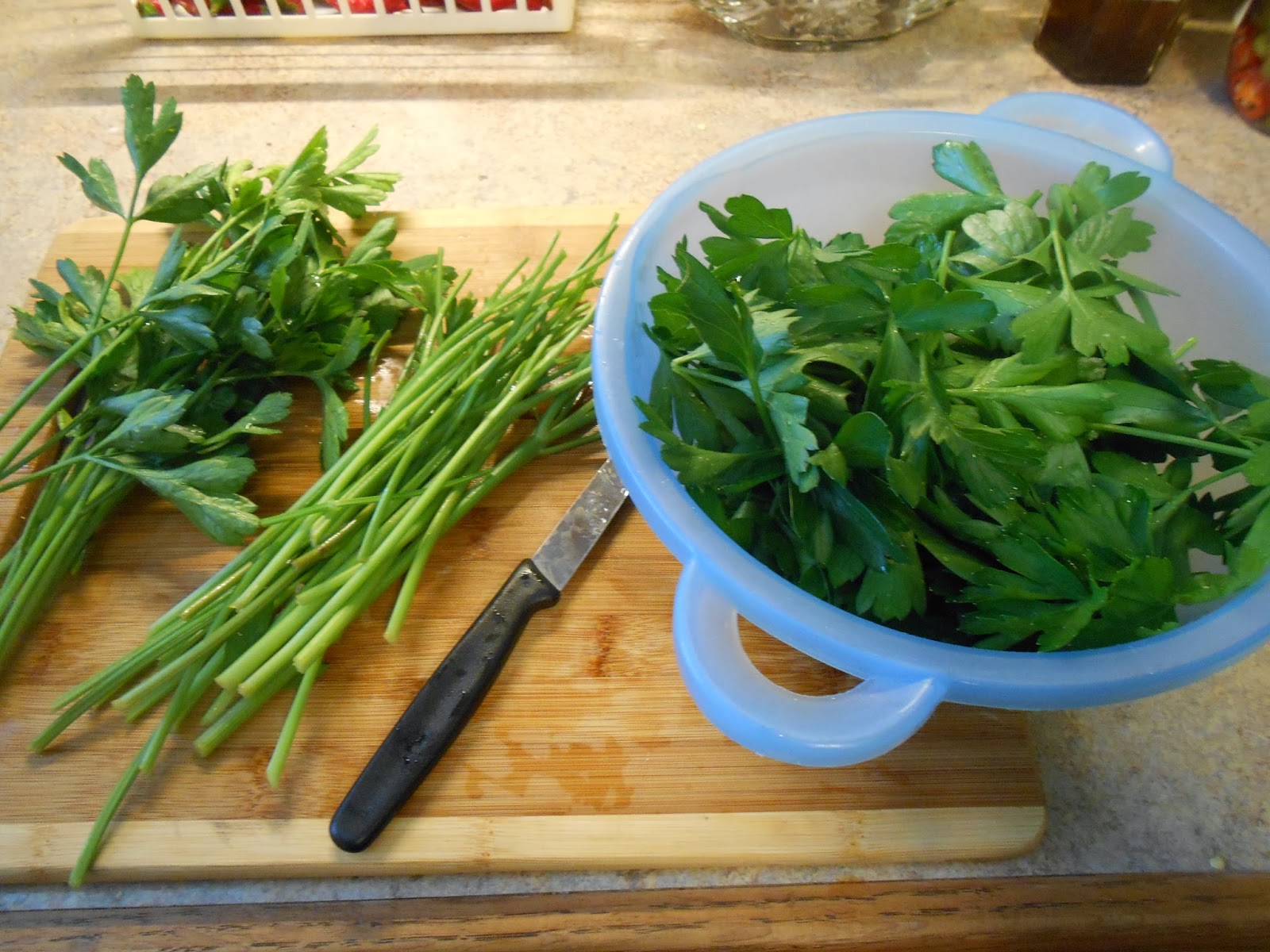 Windy Acres Diary: Preserving Garden Goodness - Parsley