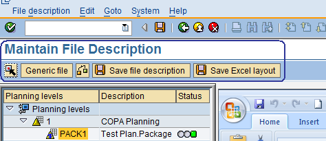 SAP FICO Central: COPA Planning