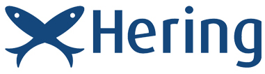 Mundo Das Marcas: HERING