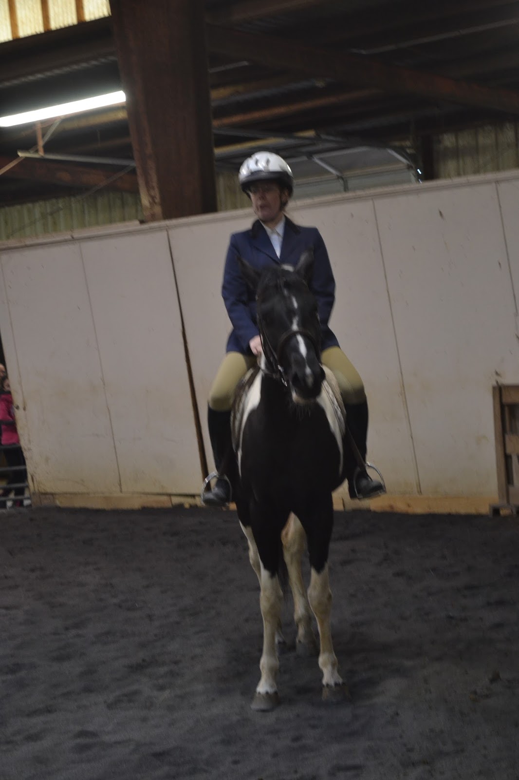 Do Horses Neigh When They Run?: When is a horse lathered?