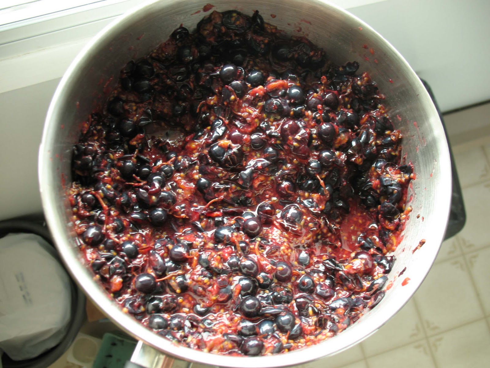 a bit about me: Jostaberry Jelly