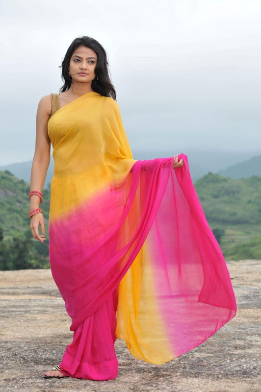 Nikitha Narayan in Saree Photo Gallery - Eyes Tube