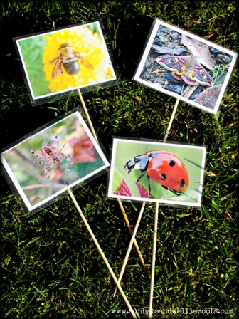 Sun Hats & Wellie Boots: DIY Bug Spotter Sticks - Perfect for Tracking ...