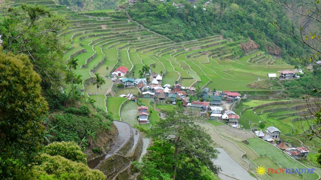 Pinoy Roadtrip: BANAUE: My Trek to the Batad Rice Terraces with Kids