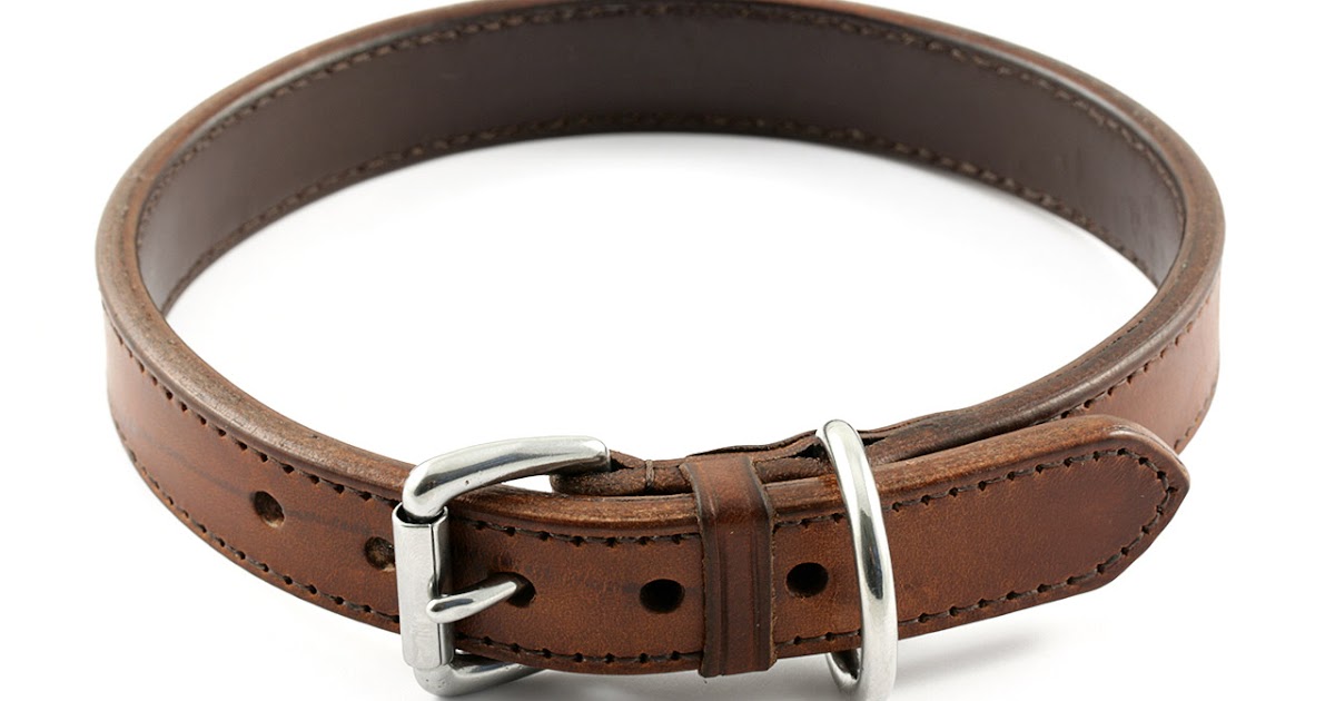 Collari per Weimaraner