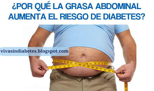 ¿Por qué la Grasa abdominal aumenta el riesgo de Diabetes? ~ Viva sin ...
