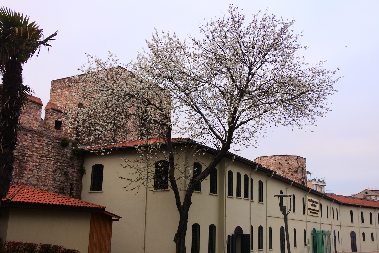 Jalan - jalan Turki 2016: Musim bunga di Istanbul ~ Alhamdulilah...di ...