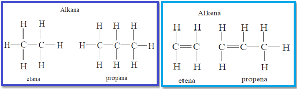 Tata Nama Senyawa Alkena - Serba Ada