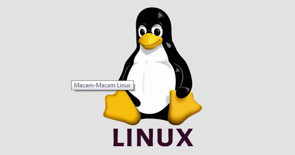 macam-macam linux dan penjelasannya | coputerized MJ