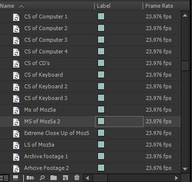Modestas Mankus Documentary : Rushes log & Editing desicions