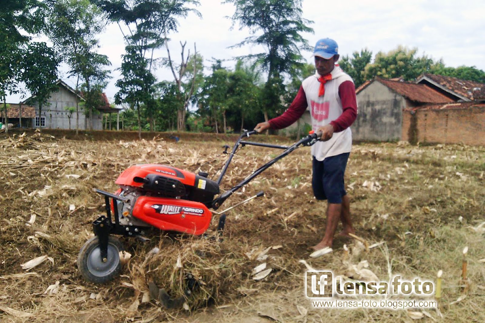 Lensa Media: Cara Olah Tanah Minimum dengan Mini Rotary