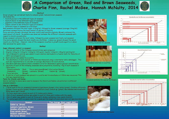 Magh Sci: BT Young Scientist