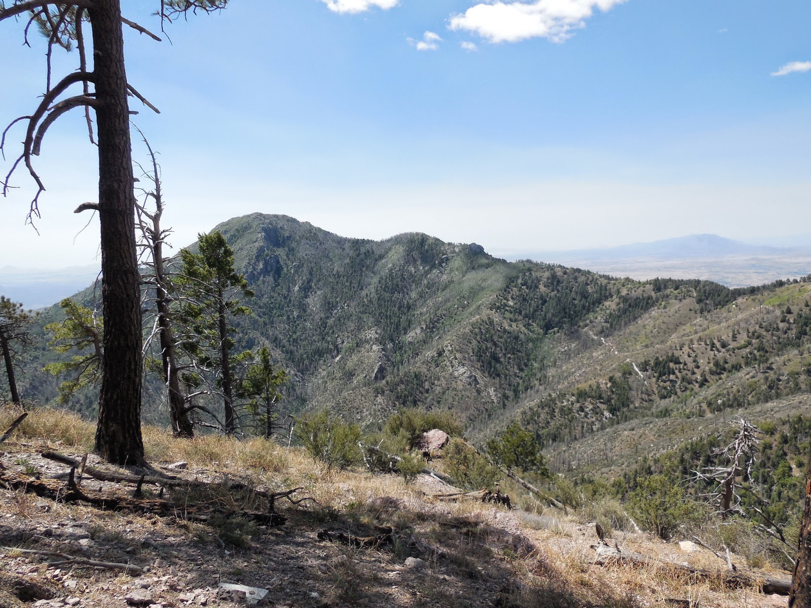 Exploring the American West: Carr Peak Huachuca Mountains May 26, 2014