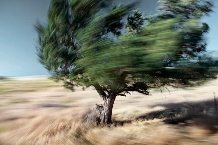 OLTRE IL MURO: ARTE e FOTOGRAFIA: MATTHIEU PALEY | PHOTOGRAPHER