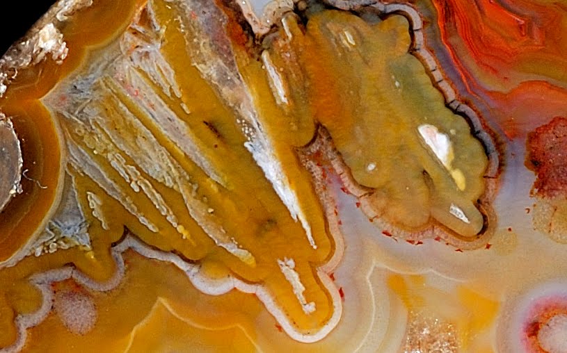 The Agatelady: Adventures and Events: Agate Close Up Pictures