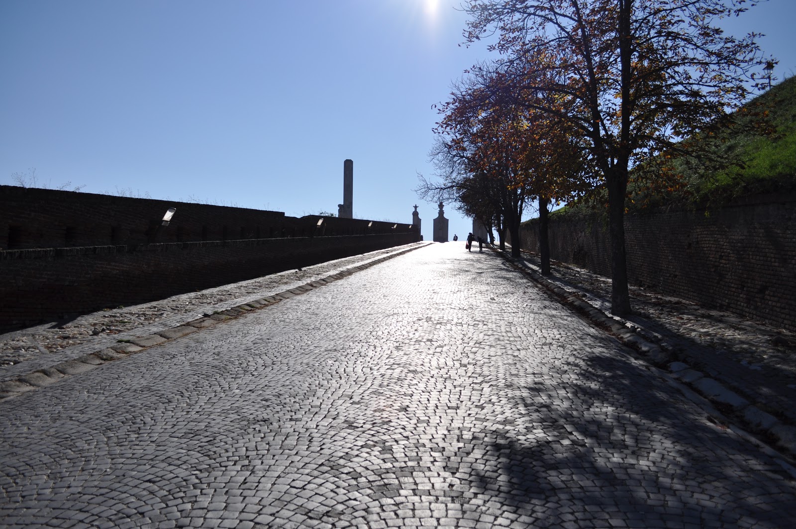 Poze, Natura, Animale, Plante, Romania, Valcea, Ionut Ungureanu