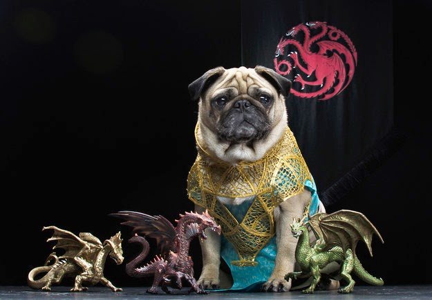 Game of Pugs - Mundo Feliz