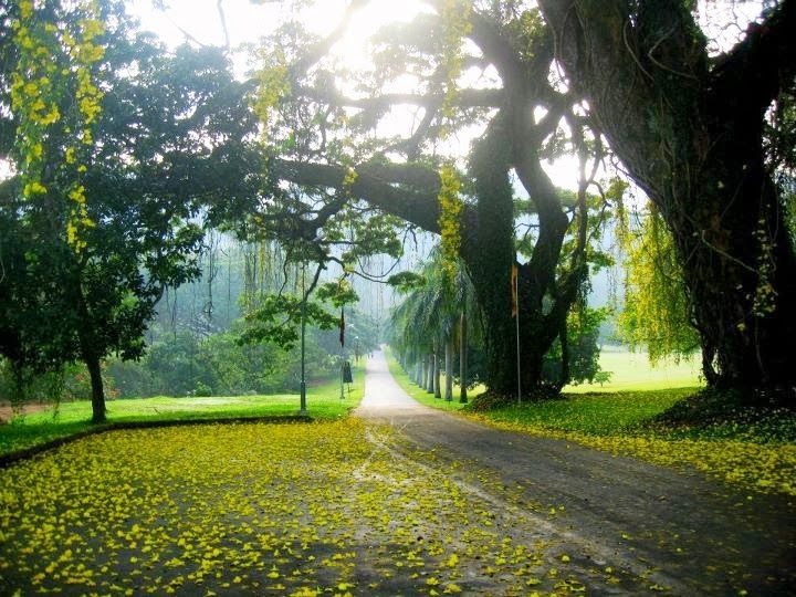 සඳ පහන...: February 2014