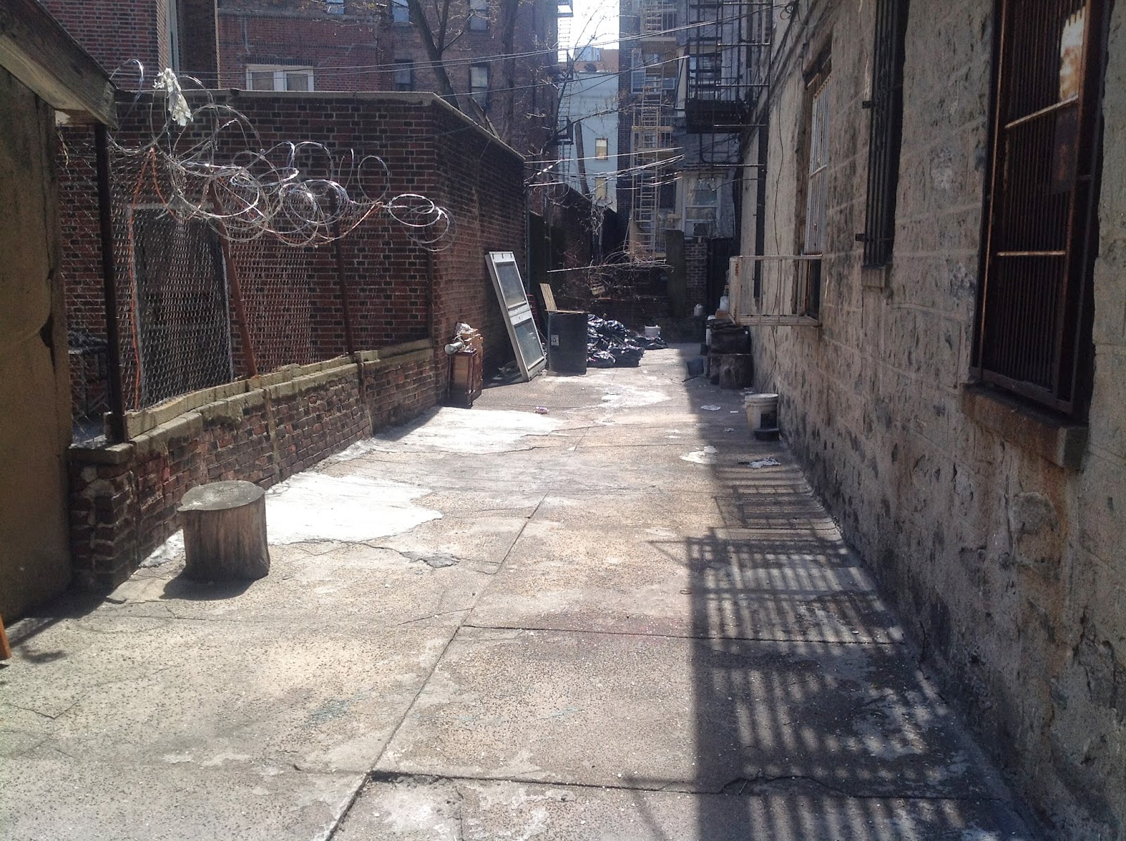 Ruben.aponte.argenius.101