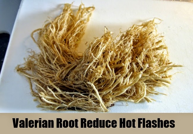 8 BEST HERBAL REMEDIES FOR HOT FLASHES ~ Mzizi Mkavu